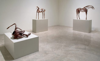 Deborah Butterfield