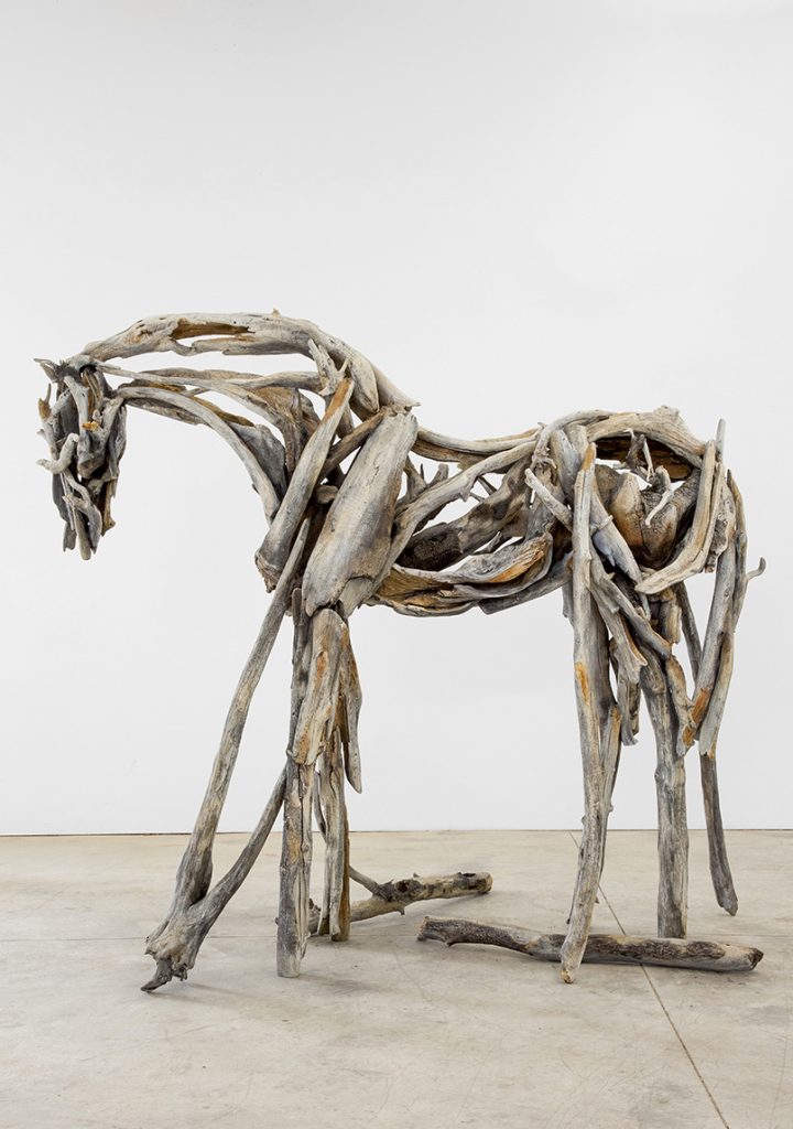 With a career spanning over four decades, Deborah Butterfield has ...